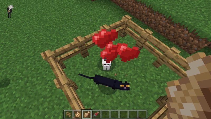 How to tame Cats in Minecraft - Gamepur