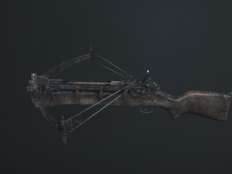 The best primary weapons in Hunt: Showdown | Gamepur