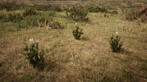 Wild Feverfew Locations in Red Dead Redemption 2 | Gamepur