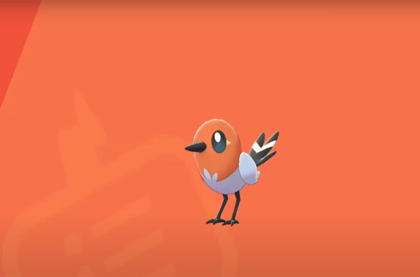 How to get Fletchling in Pokemon Sword and Shield's Isle of Armor - Gamepur