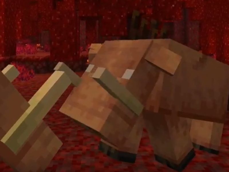 How to best create a sustainable life entirely in the Nether in ...