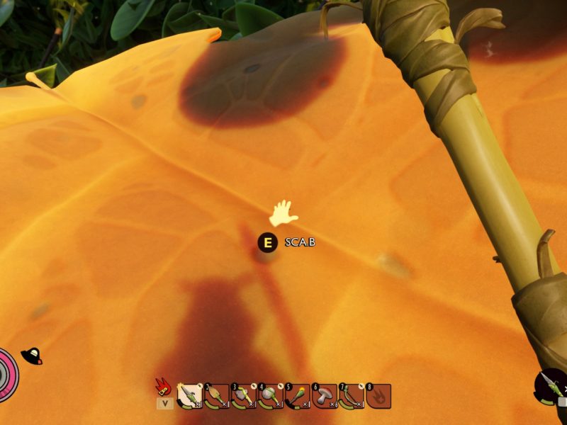 All SCA.B scheme locations in Grounded | Gamepur