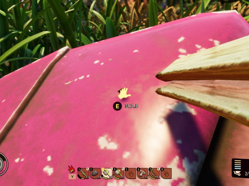 All SCA.B scheme locations in Grounded | Gamepur