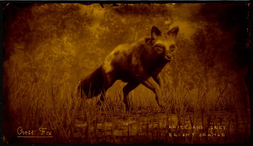 All Legendary Animals in Red Dead Online - Gamepur