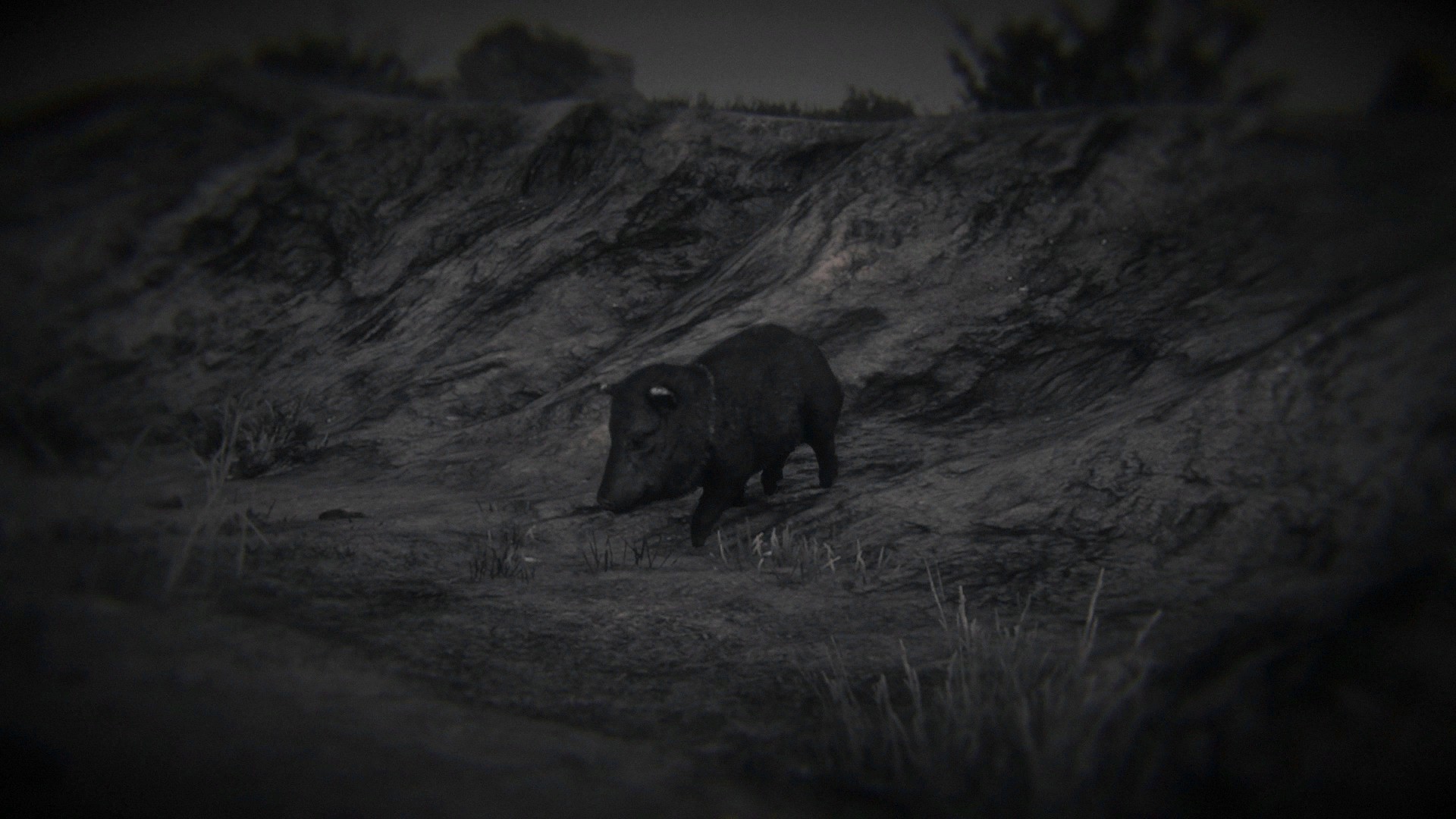 Where to find collared peccaries in Red Dead Online - Gamepur