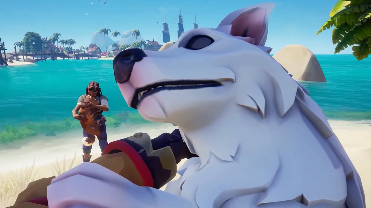 How to unlock dogs in Sea of Thieves - Gamepur