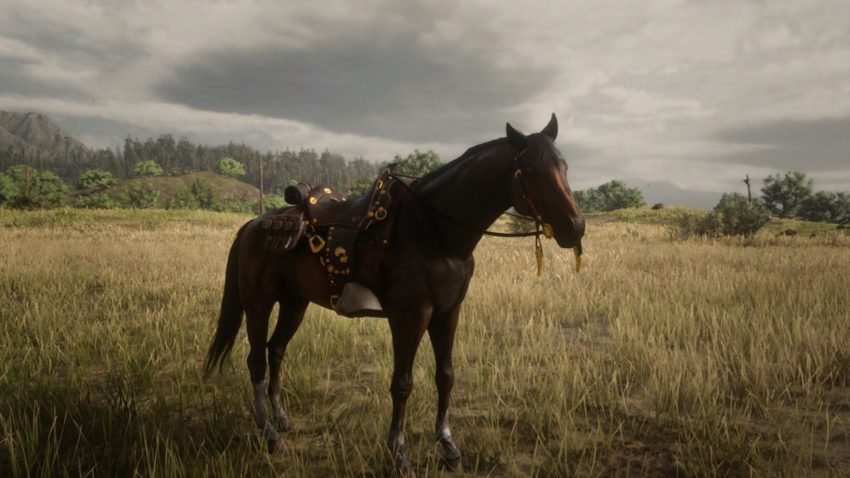 The best general saddles in Red Dead Redemption 2 | Gamepur