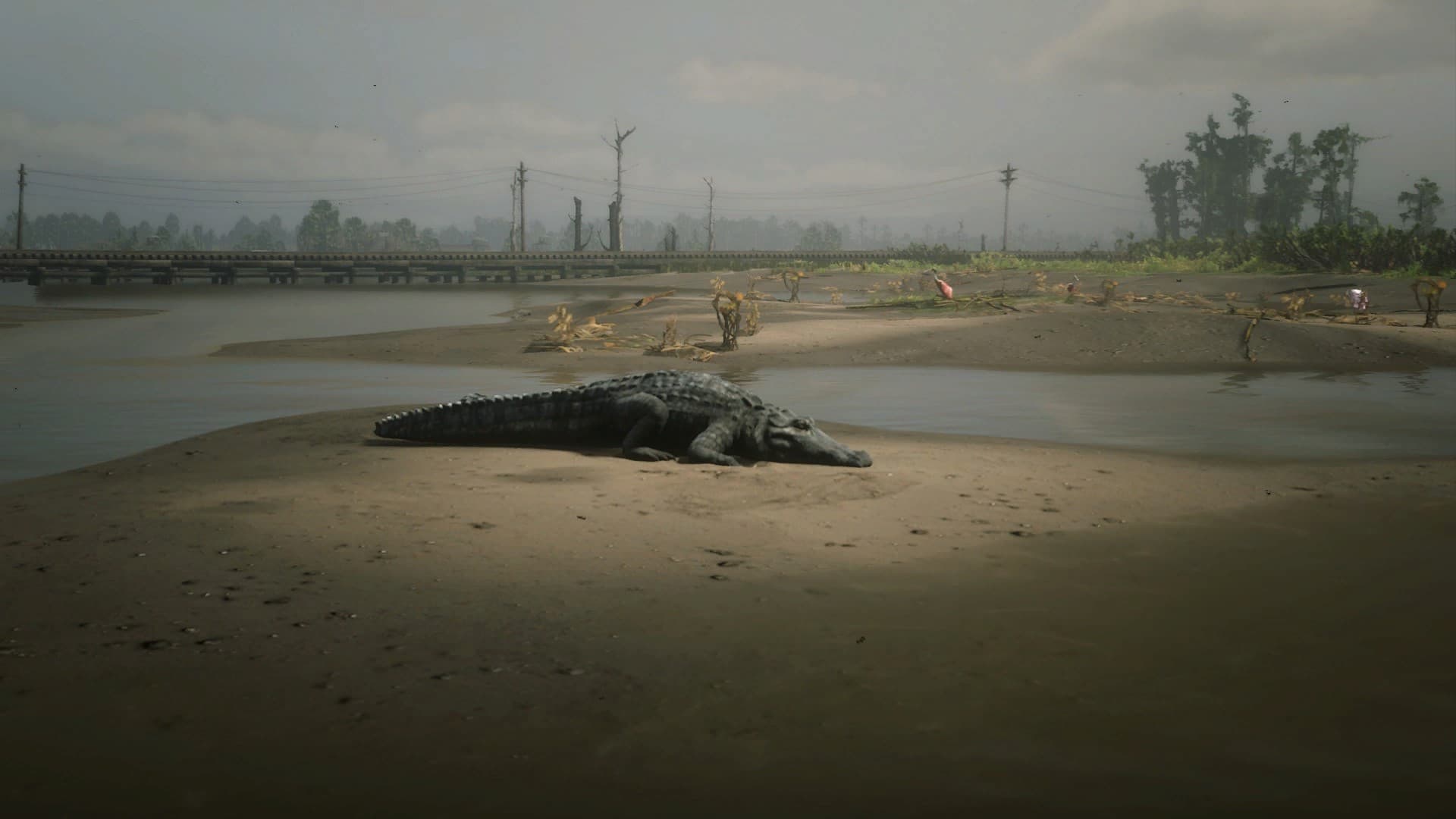 10 tips for successful hunting in Red Dead Online - Gamepur