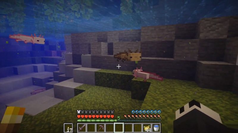 How to find and acquire Axolotl in the Minecraft Caves & Cliffs update ...
