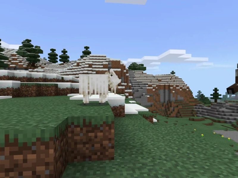 Where to find goats in the Minecraft Caves & Cliffs update | Gamepur