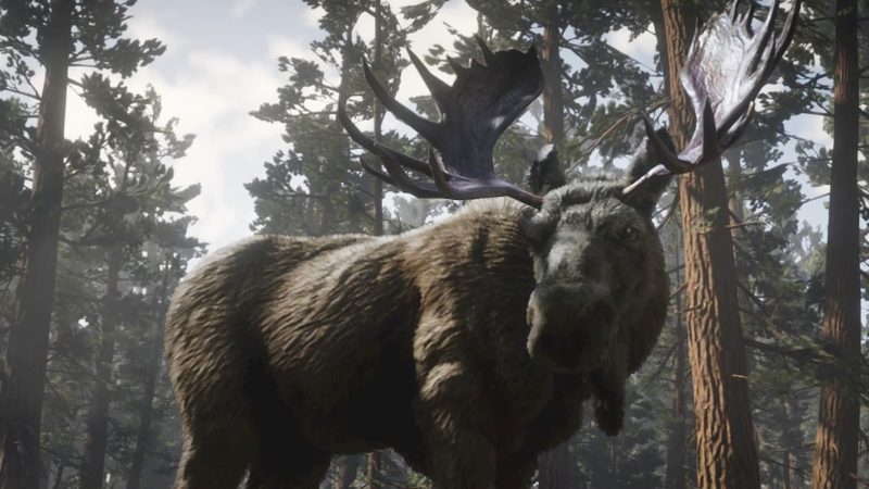 How to find the Legendary Ruddy Moose in Red Dead Online - Gamepur