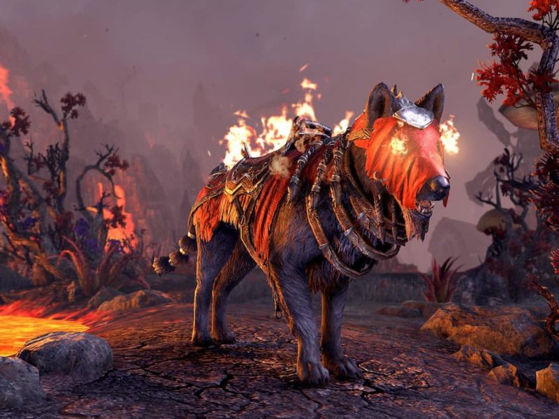 The 10 rarest items in The Elder Scrolls Online | Gamepur