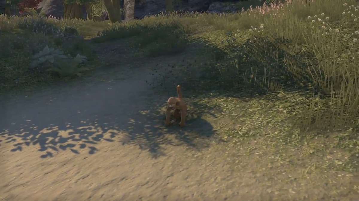 The 10 rarest items in The Elder Scrolls Online - Gamepur