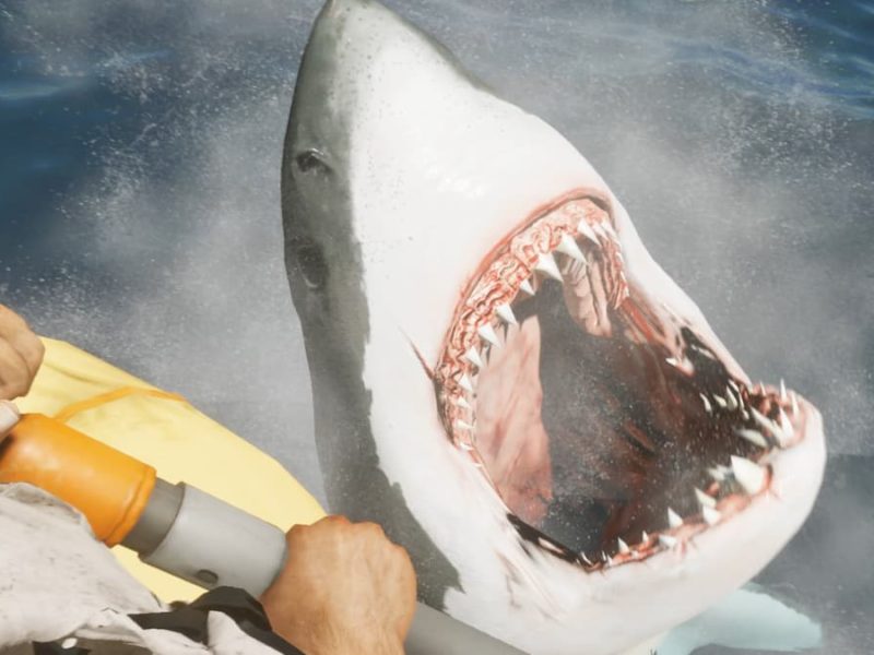 How to catch and cook fish in Stranded Deep | Gamepur