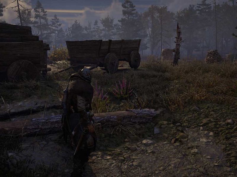 Assassin's Creed Valhalla: How to complete The Wound-Wands of Friends ...