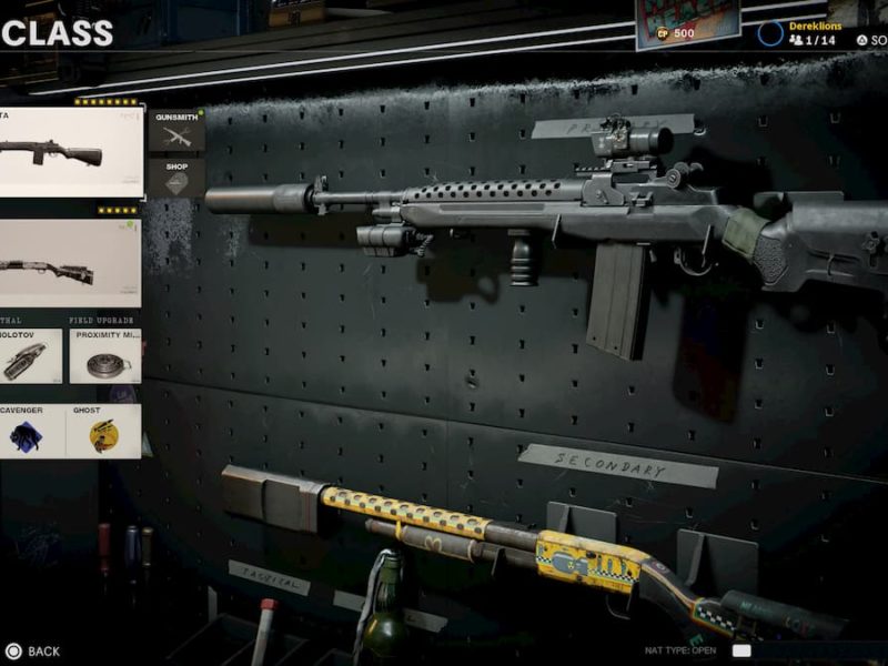 Best DMR 14 class loadouts for Call of Duty: Warzone and Black Ops Cold ...