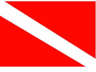 How to get your boating license in BitLife - All boating license test ...