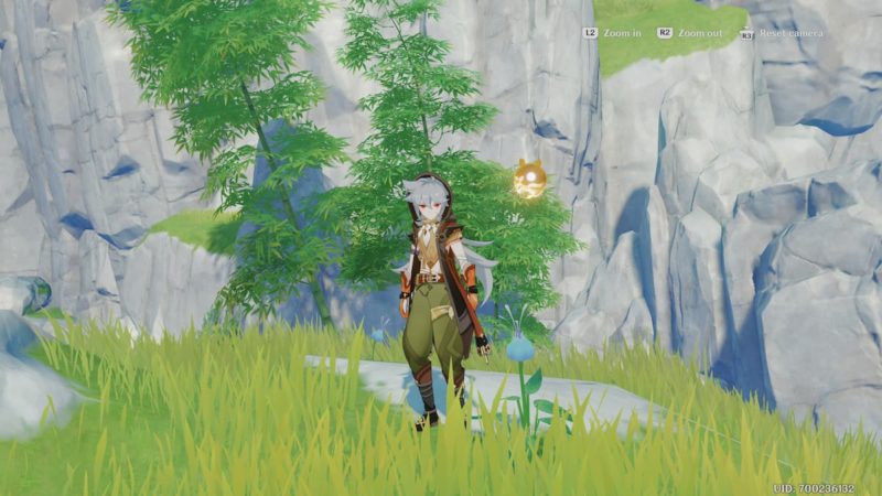 Which Genshin Impact Windblume flower choice should you pick? - Gamepur