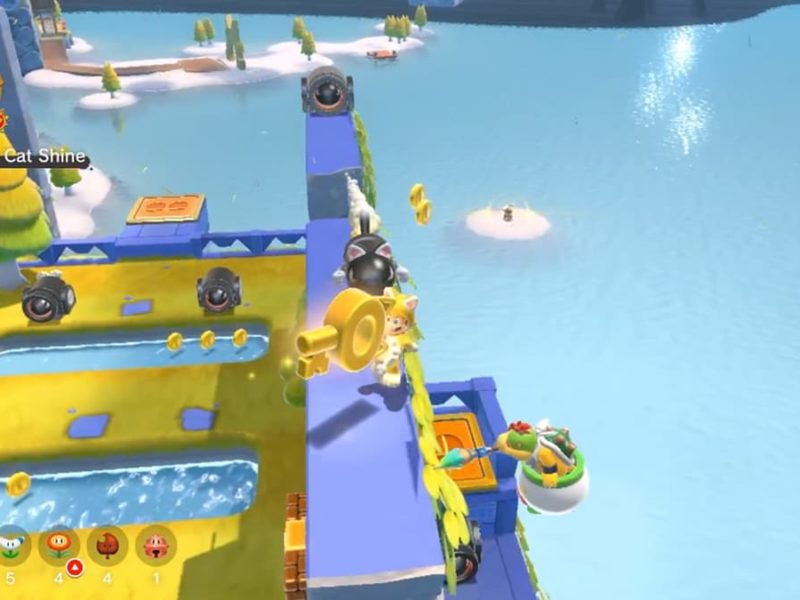 Where to find the Key to the Cat Shine on Pounce Bounce Isle in Super ...