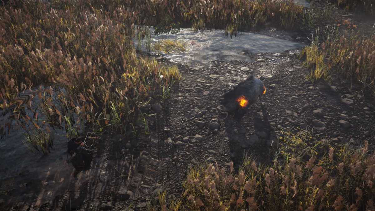 How to beat the Blood Swine in Assassin's Creed Valhalla - Gamepur