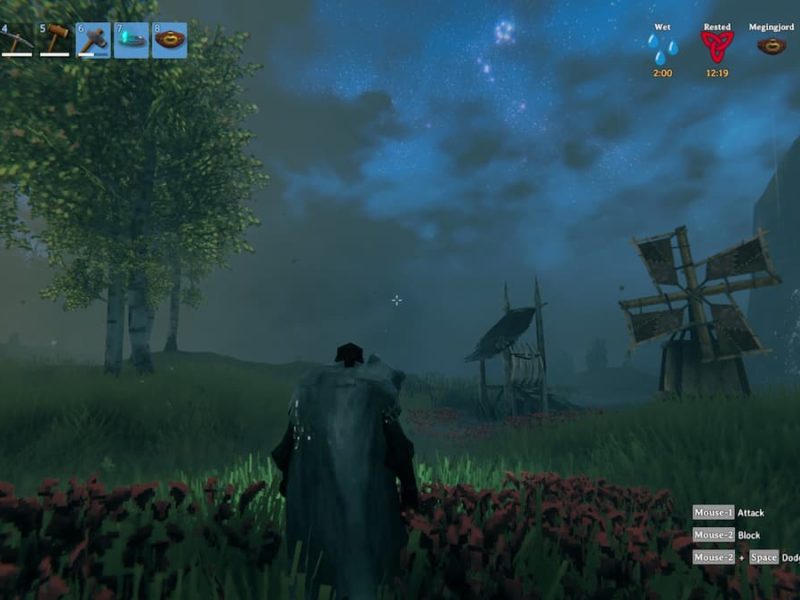 Can you find and plant birch seeds in Valheim? | Gamepur