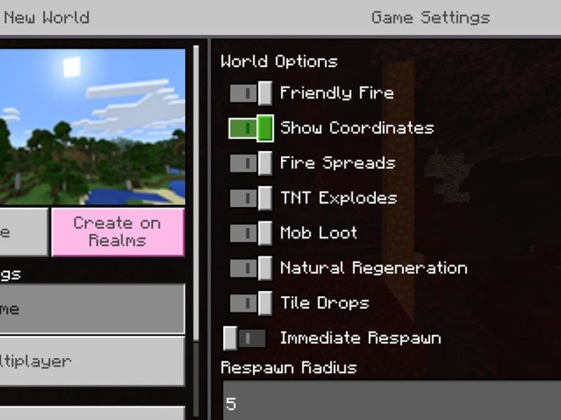 How to show your XYZ Coordinates in Minecraft | Gamepur