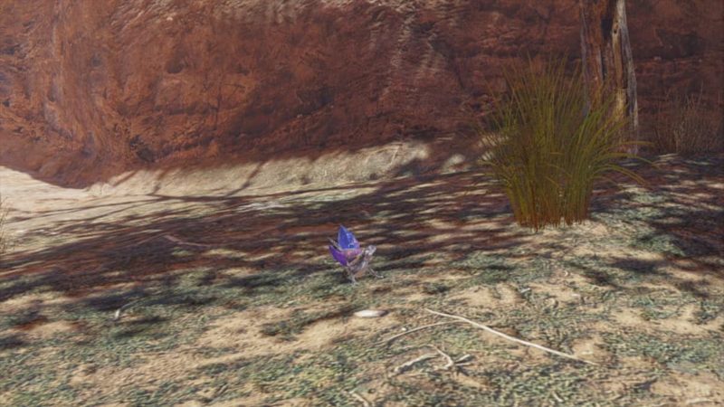 Where to find a Rock Lizard in Monster Hunter Rise - Gamepur