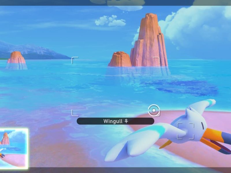 All Blushing Beach Pokémon in New Pokemon Snap | Gamepur