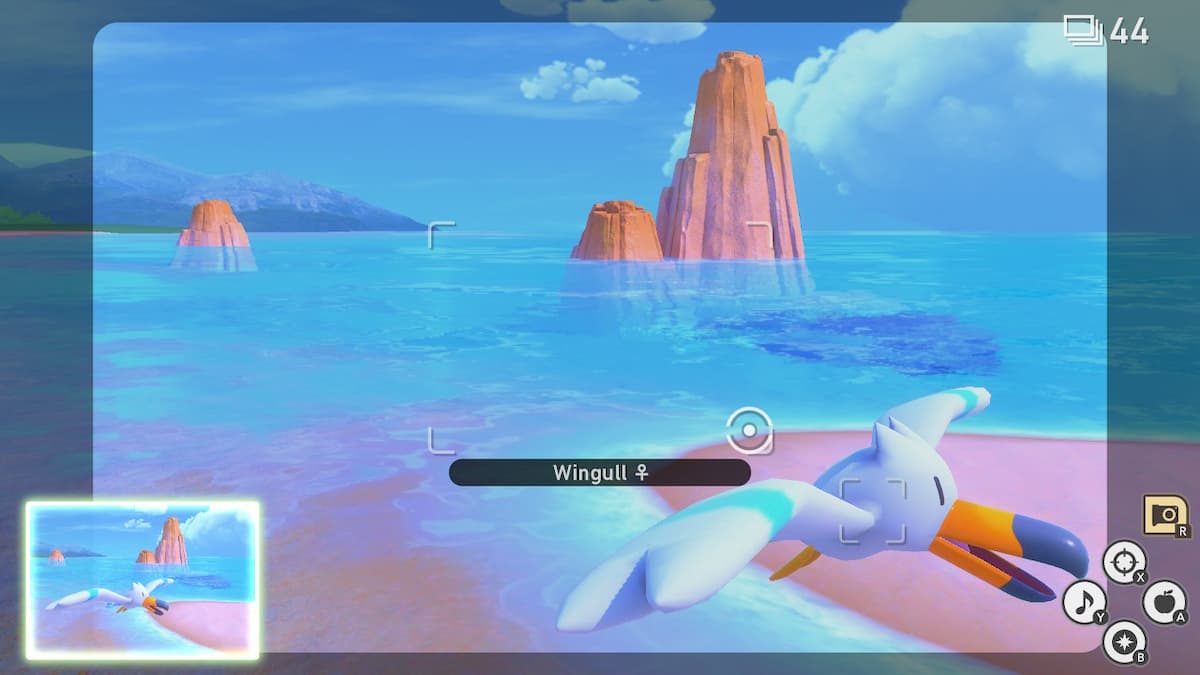 All Blushing Beach Pokémon in New Pokemon Snap - Gamepur