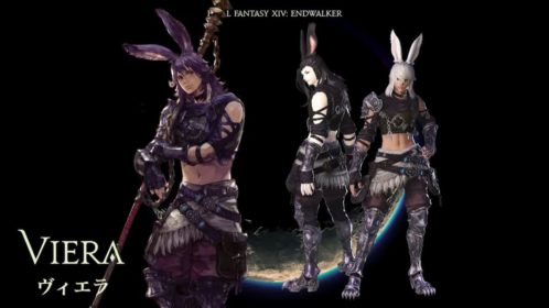 What is the release date for the male Viera race in Final Fantasy XIV ...