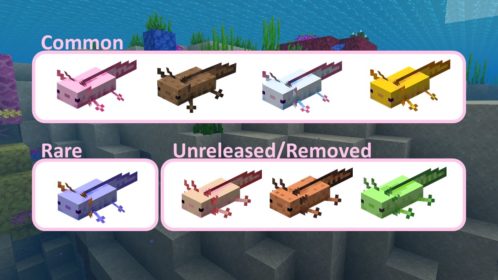 All Axolotl color variants in Minecraft - Gamepur