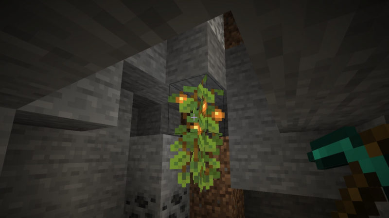 Where to find Glow Berries in Minecraft - Gamepur