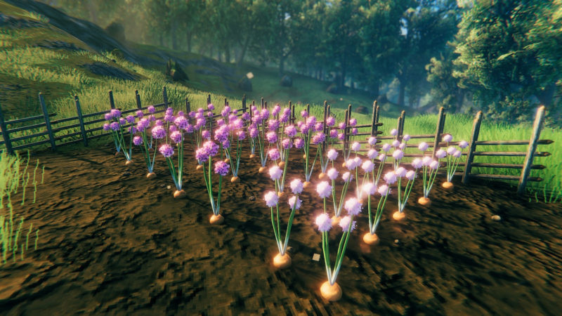 Where to find onions in Valheim - Gamepur