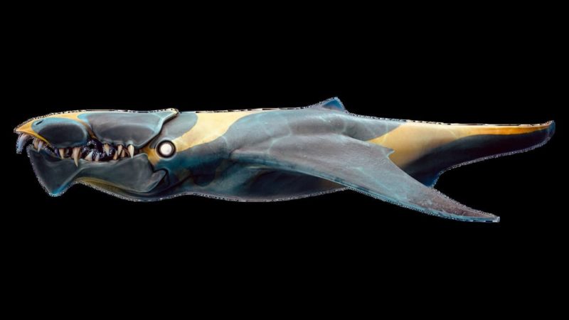 All creatures in Subnautica: Below Zero - Gamepur