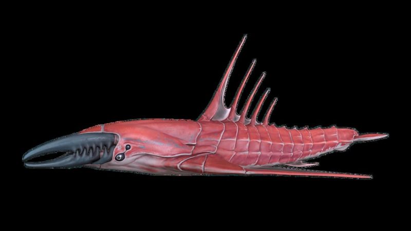 All creatures in Subnautica: Below Zero - Gamepur