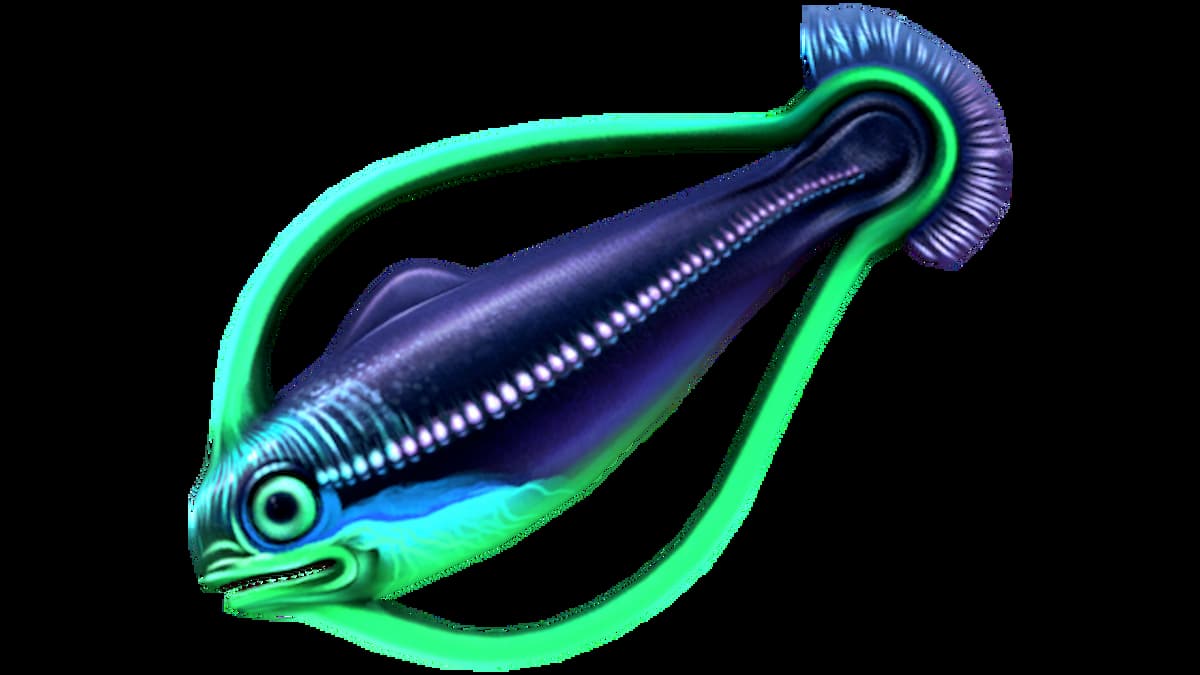 All creatures in Subnautica: Below Zero - Gamepur