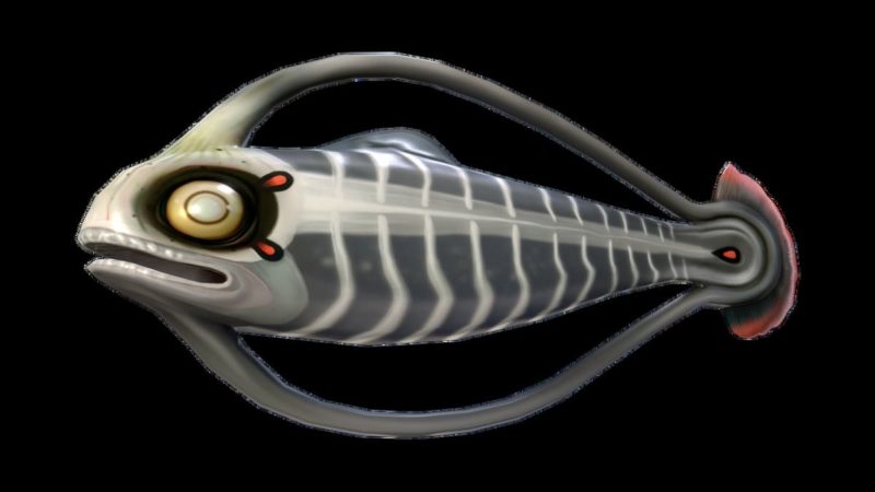 All creatures in Subnautica: Below Zero | Gamepur