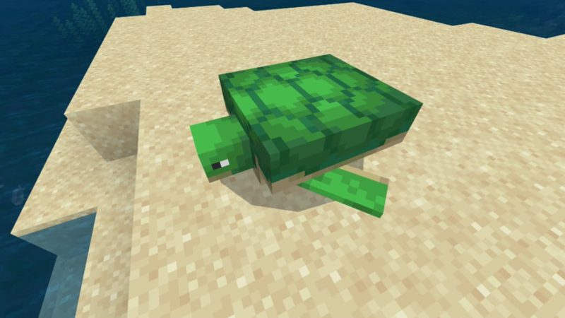 What do Sea Turtles eat in Minecraft? - Gamepur