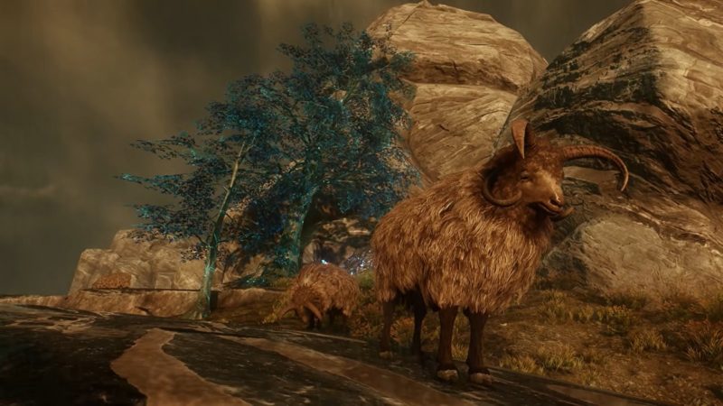 Does New World have mounts? - Gamepur