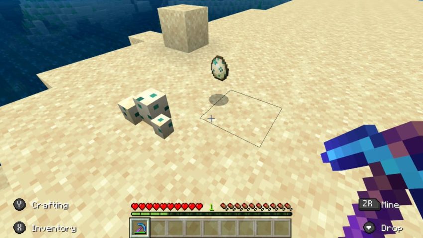 How to get Sea Turtle Eggs in Minecraft - Gamepur