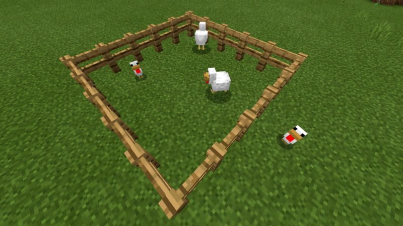 What do chickens eat in Minecraft? - Gamepur