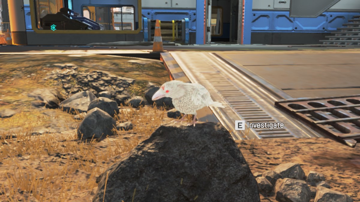 How to find the white raven in Apex Chronicles: Old Ways, New Dawn Apex ...