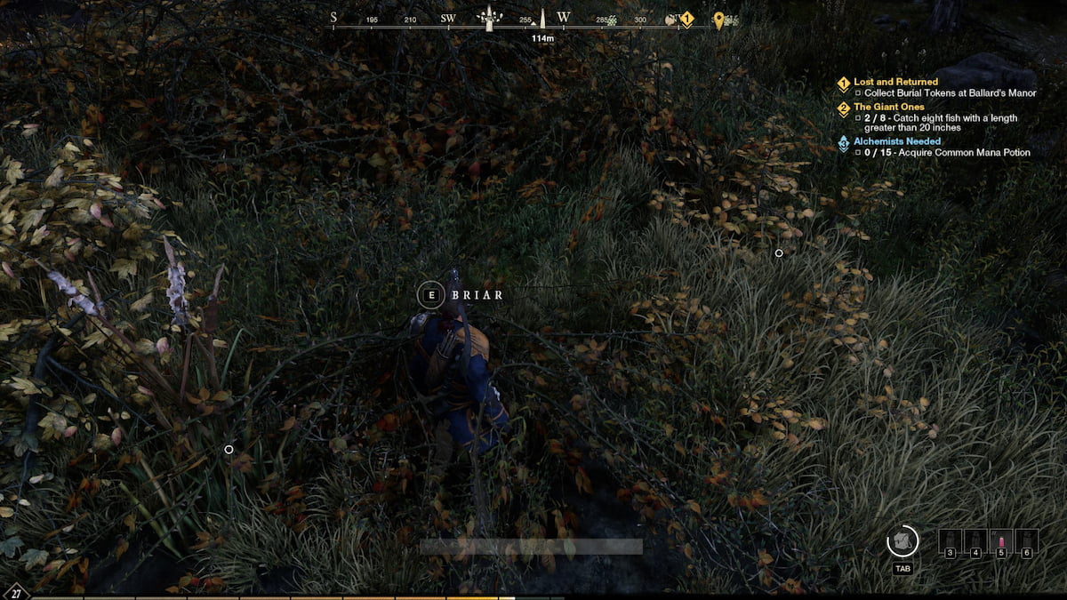 Where to find Briar Branches in New World - Gamepur