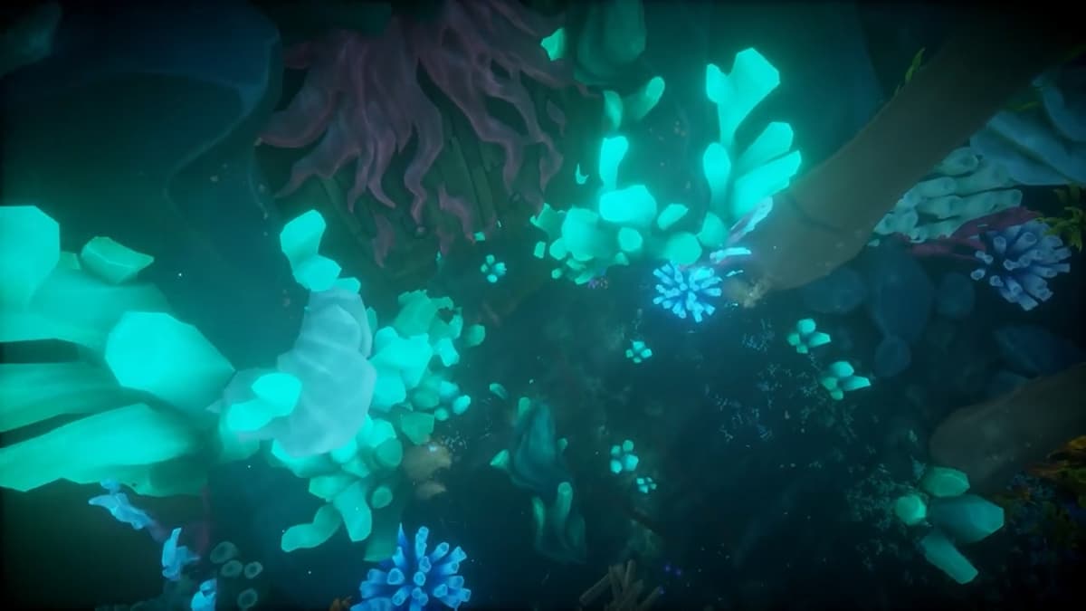 How to enter and complete the Shrine of Ocean's Fortune in Sea of ...