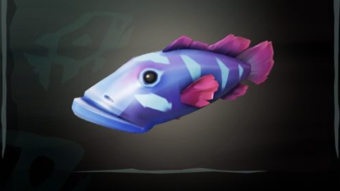 How to catch all Splashtails in Sea of Thieves - Gamepur