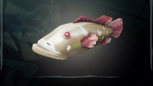 How to catch all Splashtails in Sea of Thieves - Gamepur