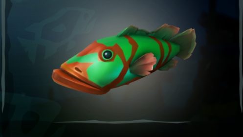 How to catch all Splashtails in Sea of Thieves - Gamepur