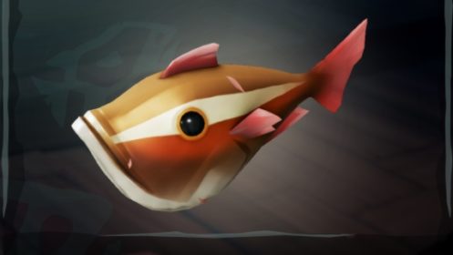 How to catch all Pondies in Sea of Thieves - Gamepur