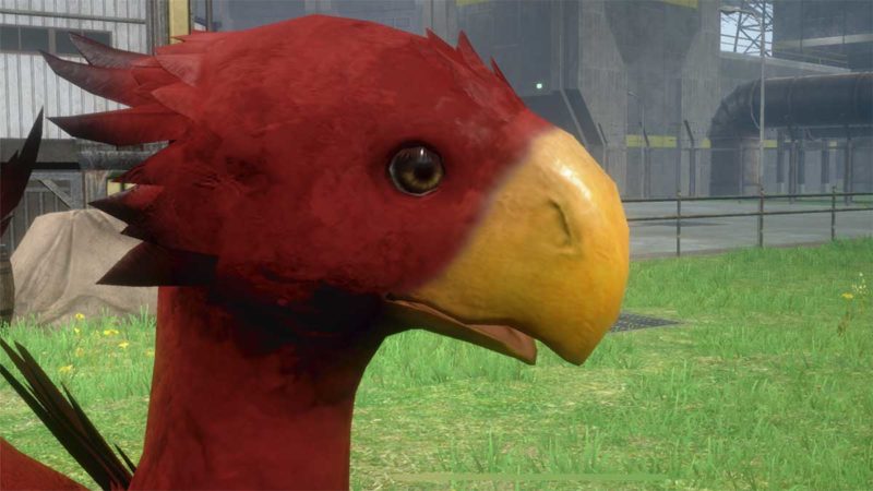 How to get more Chocobo in Final Fantasy VII: The First Soldier - Gamepur
