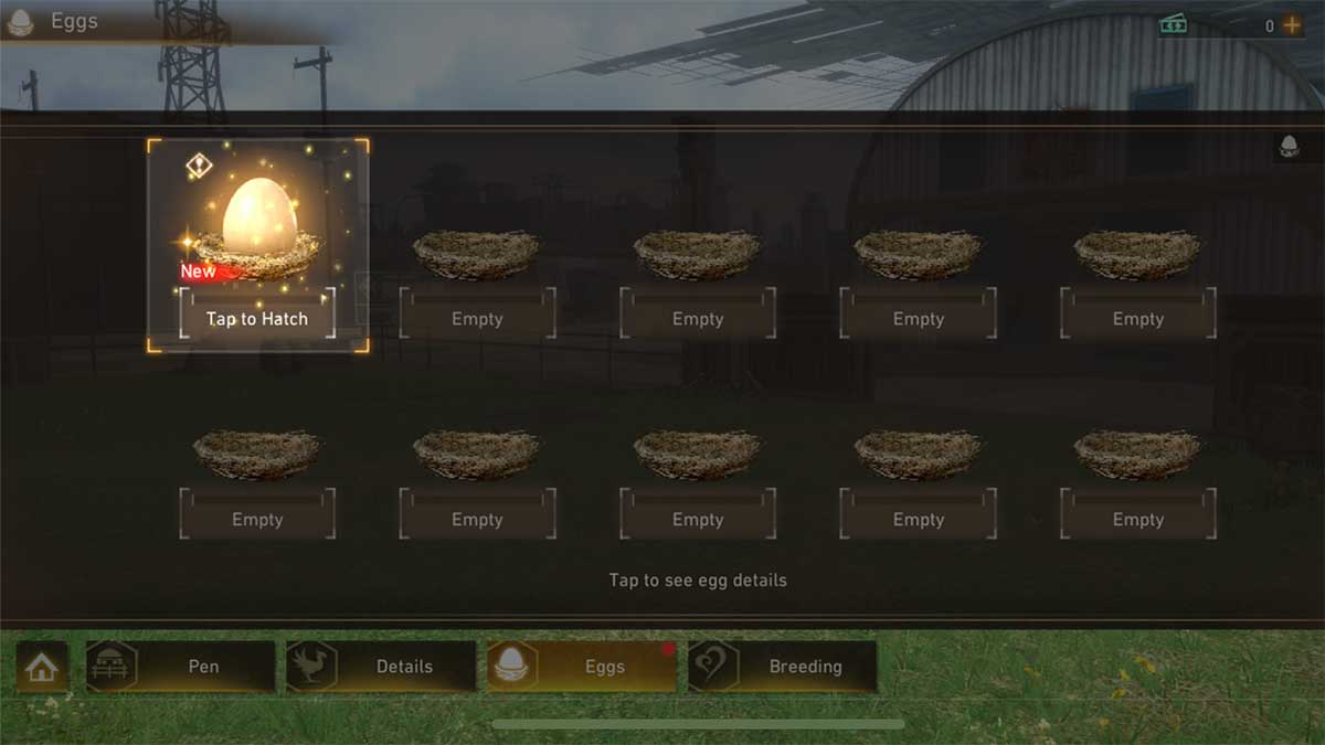 What is the Chocobo Farm in Final Fantasy VII: the First Soldier? - Gamepur